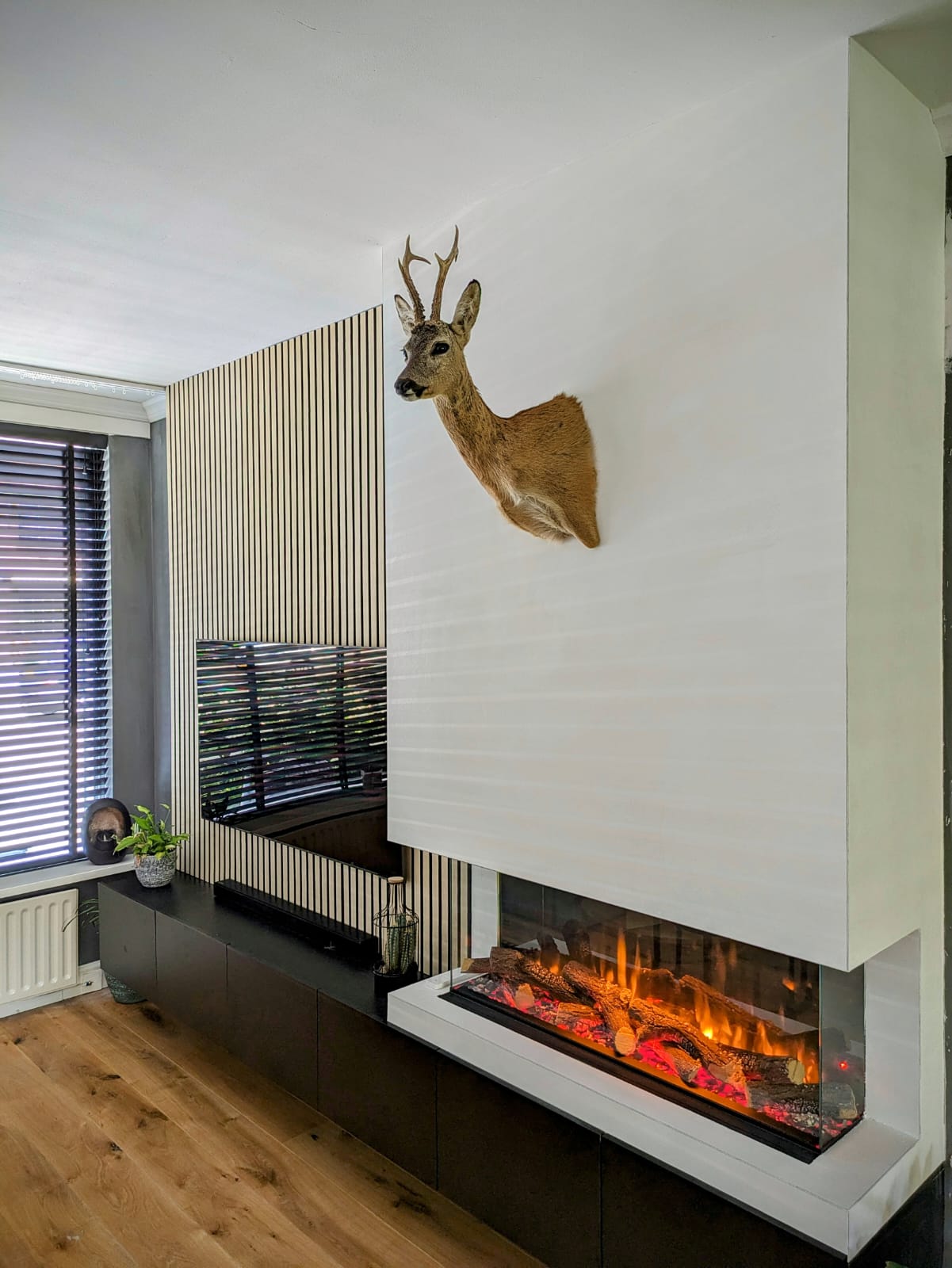 Opgezette dieren in je interieur - WILD trends